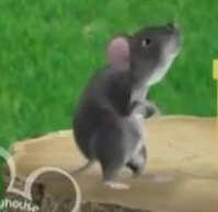 Little Mouse | CBS Kids Go! Wiki | Fandom