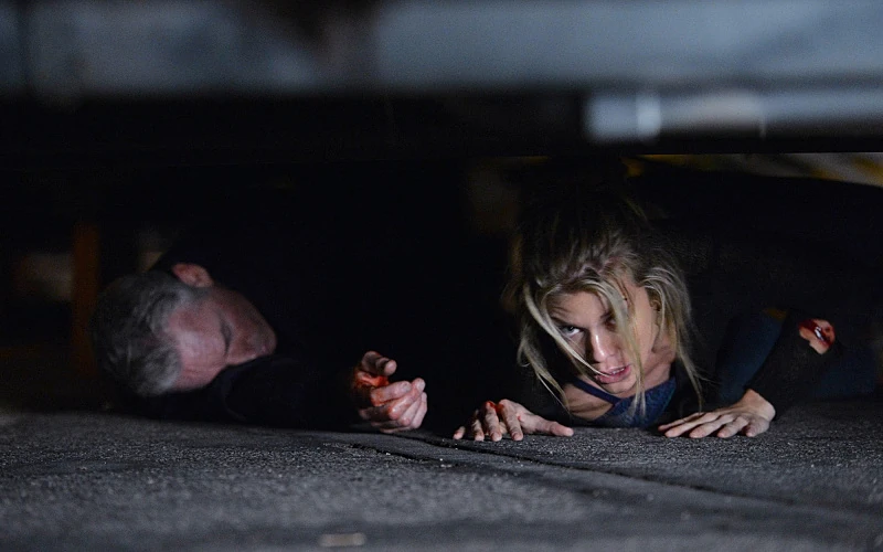 Fanatic | Stalker Wiki | Fandom