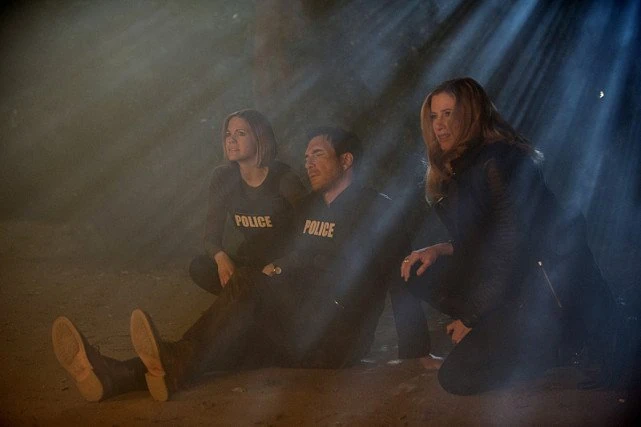 The Woods | Stalker Wiki | Fandom