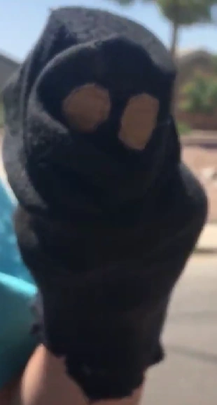 Jonny | CBZ2 Wiki | Fandom