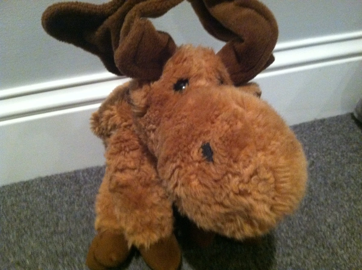 Moose | C.C Plush Wiki | Fandom