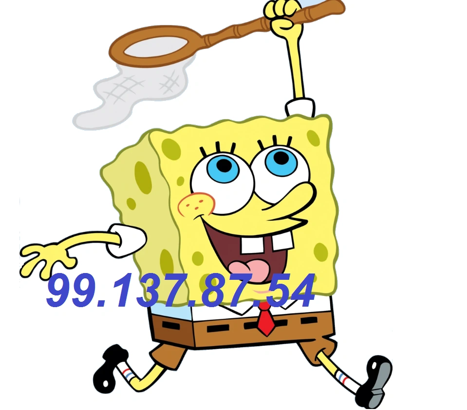 spongebob doxes your ip adress | Fandom