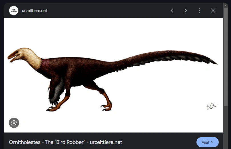 Wait, does Ornitholestes have sickle-claws now? | Fandom