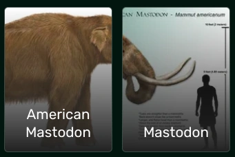 Behold, the American Mastodon Mastodon! | Fandom