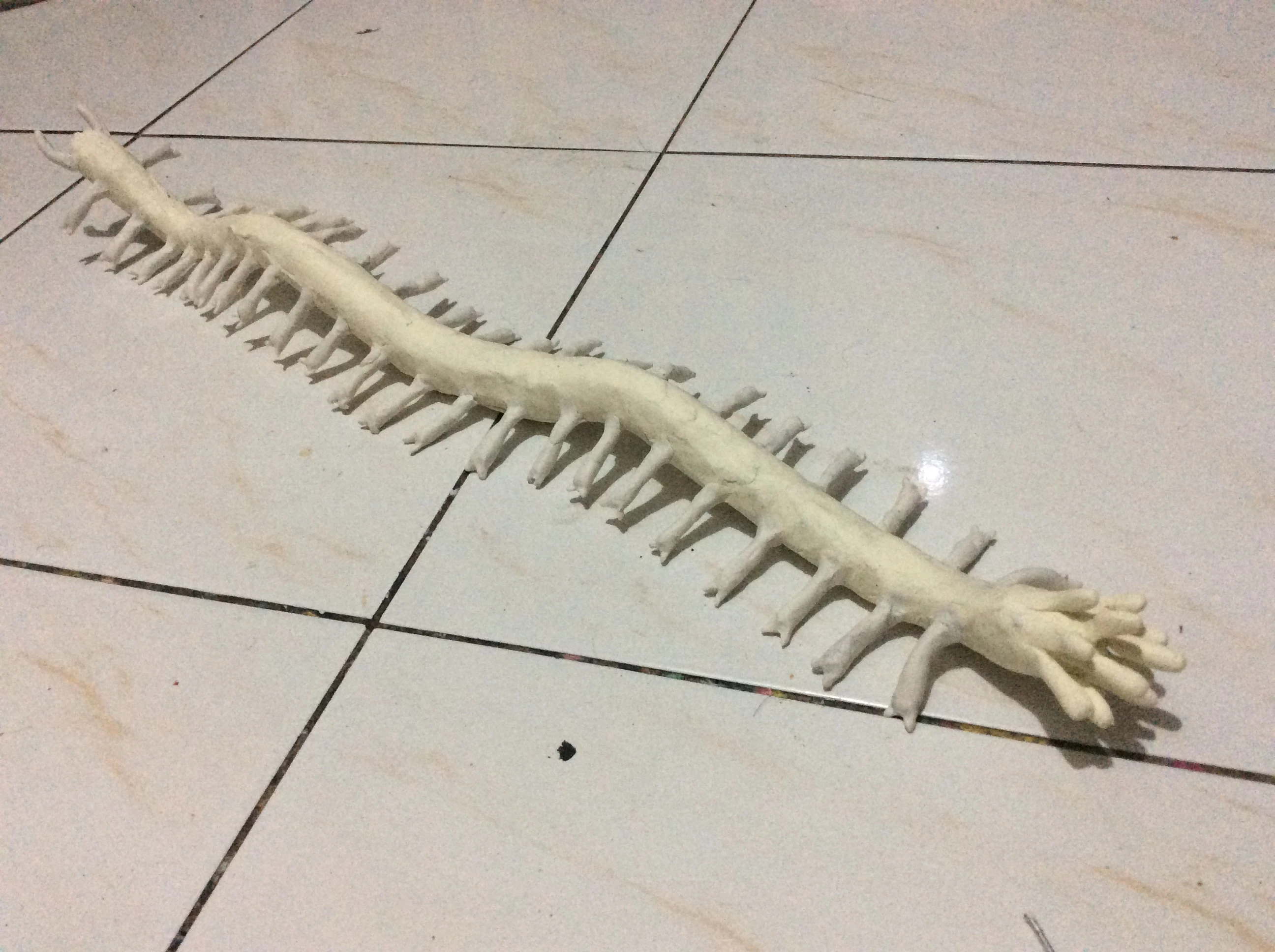 The Giant "Shining" Centipede | Fandom