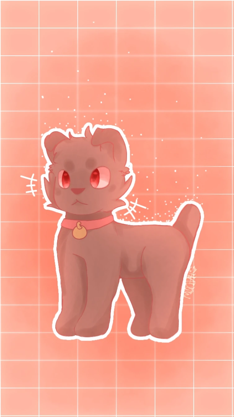 Mango the kitty 😻 | Fandom