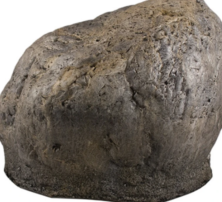 OC introduction!!! Rook!!! | Fandom