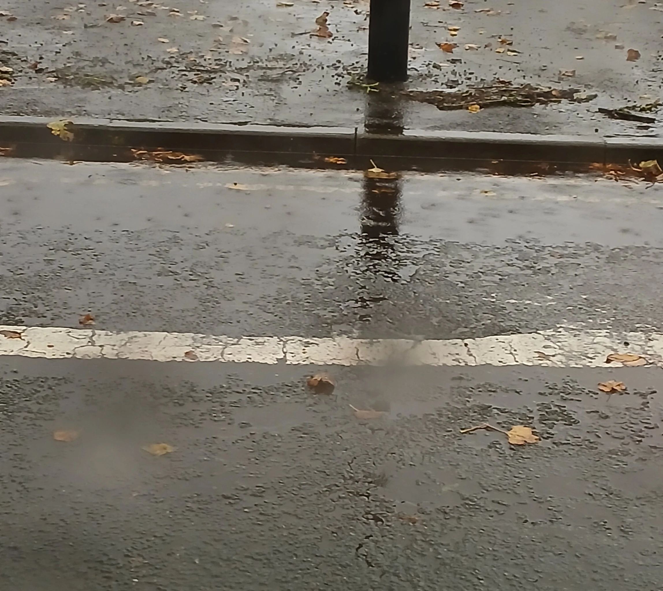 It's raining SO HARD 😭 | Fandom