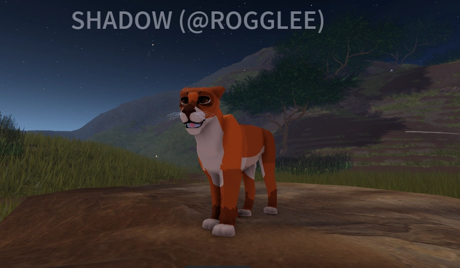 LION KING MORPHS! | Fandom