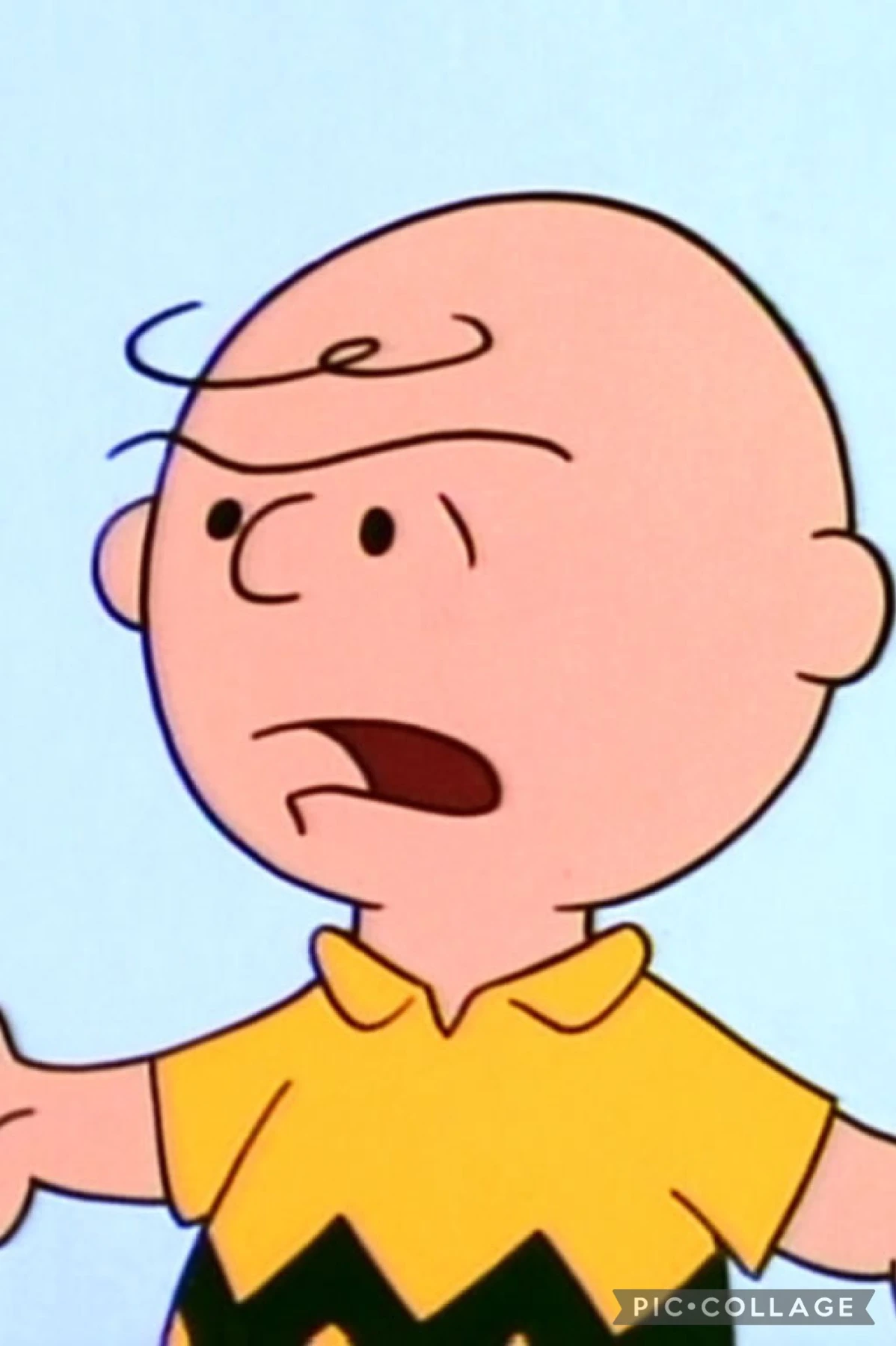 What is Charlie Brown Angry About? (Wrong Answers only) | Fandom