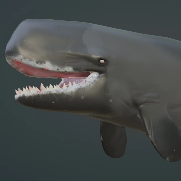 Discuss Everything About Oceanic (ROBLOX) Wiki | Fandom