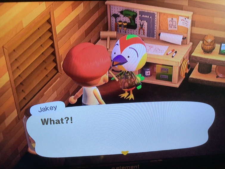 Discuss Everything About Animal Crossing Wiki | Fandom