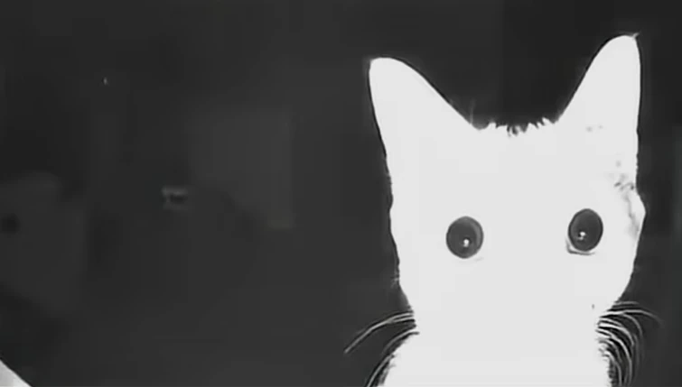 That feeling | Fandom