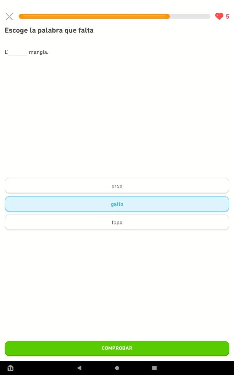 WHY DUOLINGO???? | Fandom