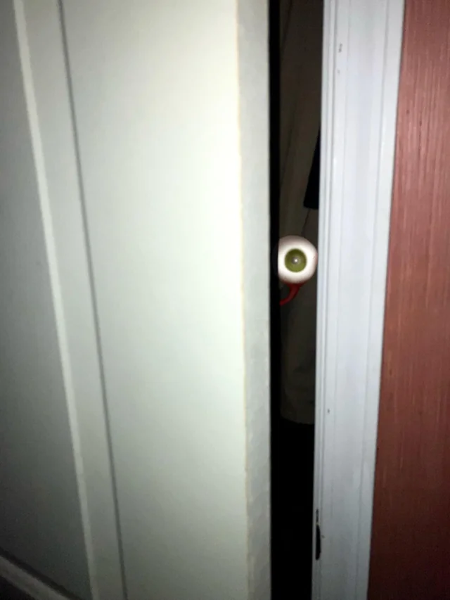 bro wtf goin on in Seattle 🧸🧸🧸🧸 | Fandom