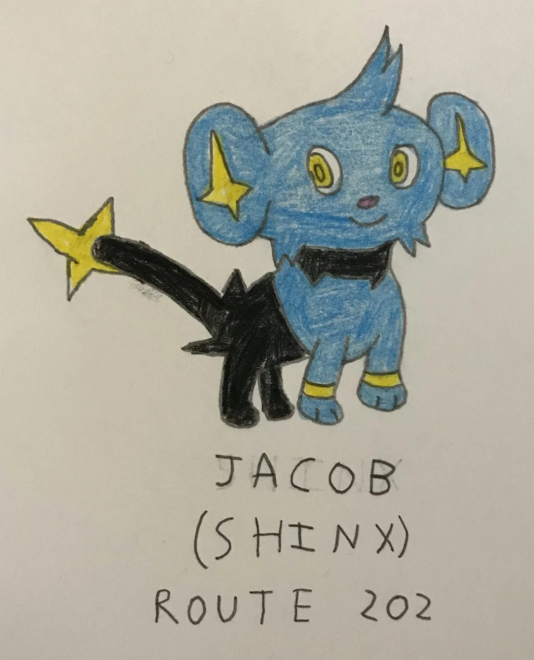 Jacob, my Shinx | Fandom
