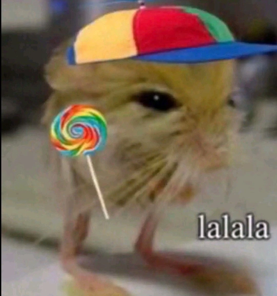 spiritually i am a frog | Fandom