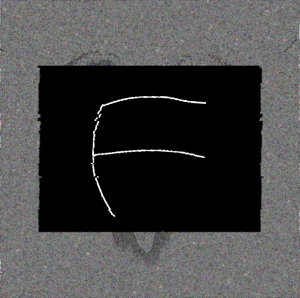 MORE SECTION F INFO (THE OUTBREAK) | Fandom