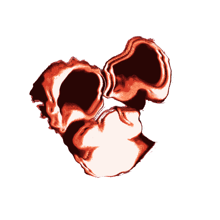bored so i made some entity variations | Fandom