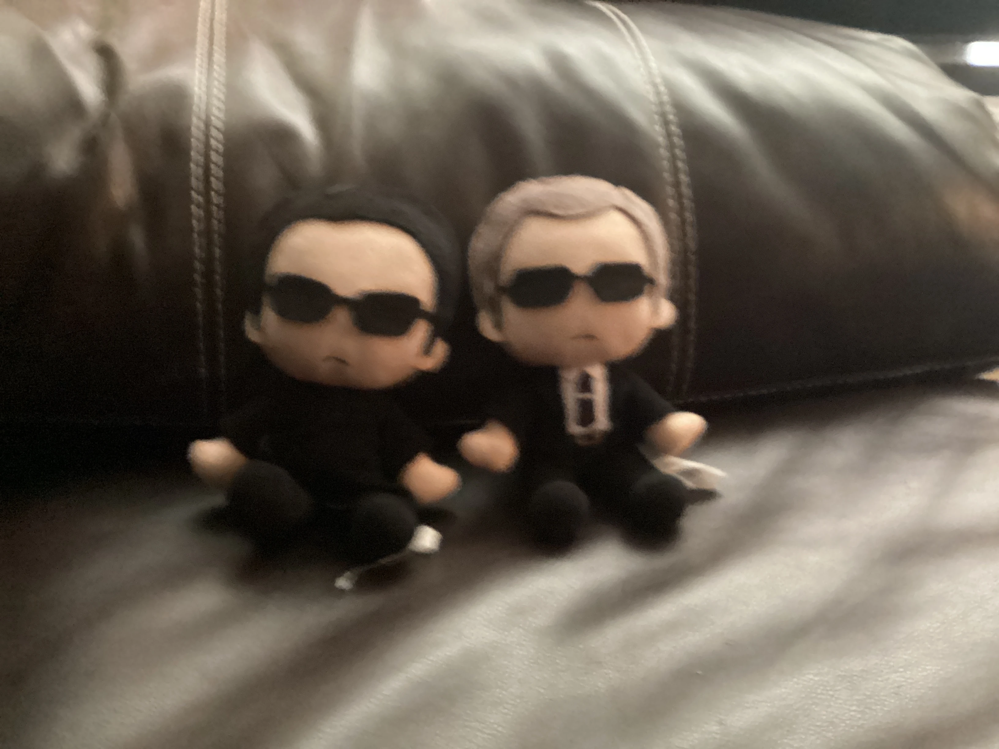 They have arrived | Fandom