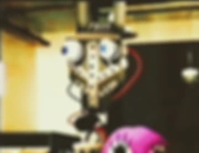 Got an update on TWF | Fandom