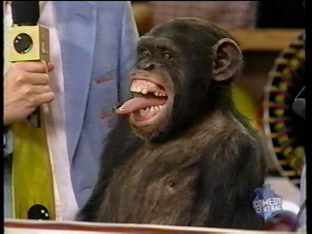 April 29, 2002 | Comedy Central Broadcast Archives Wiki | Fandom