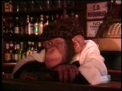 June 23, 2001 | Comedy Central Broadcast Archives Wiki | Fandom