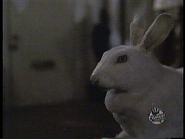 April 26, 1998 | Comedy Central Broadcast Archives Wiki | Fandom