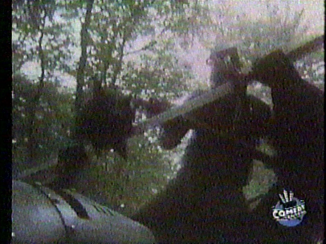 January 1, 1995 | Comedy Central Broadcast Archives Wiki | Fandom