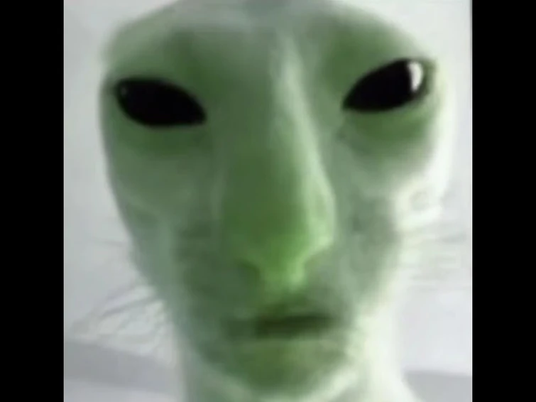my alien homie venting about how he was bullied in Gloopglarp High ...