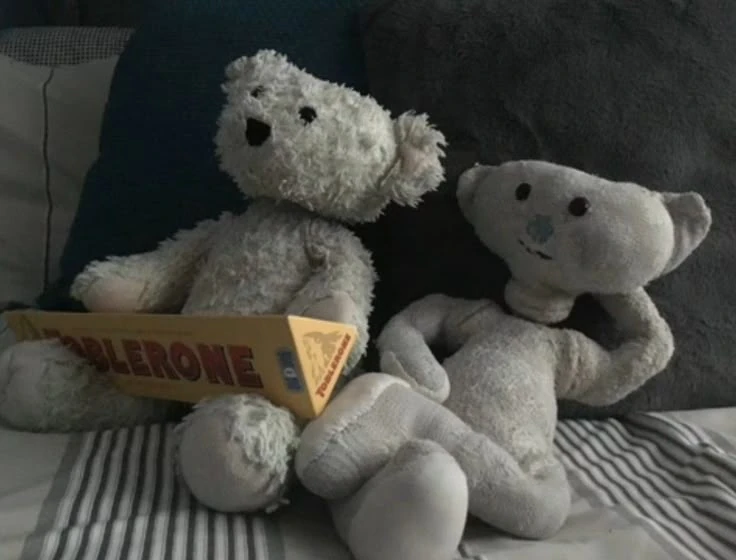 Bro I can't find the bear bundle | Fandom