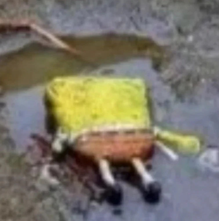 Send the image that is your current status | Fandom