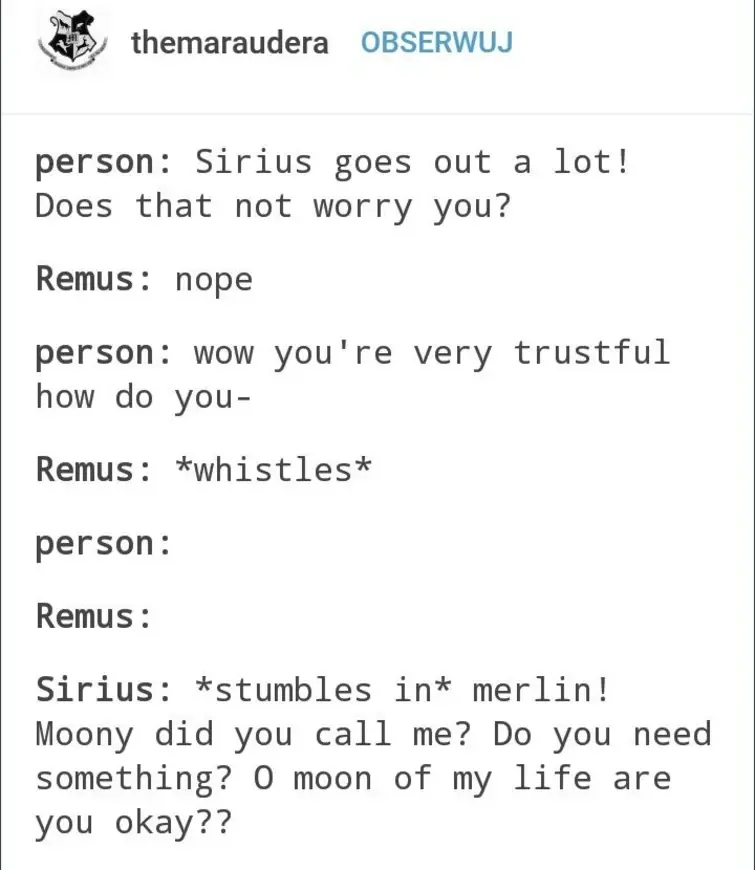 I’m kinda bored so here’s some grindeldore and wolfstar memes