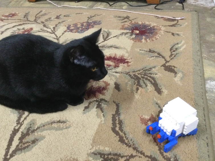 Discuss Everything About Battle Cats Wiki | Fandom