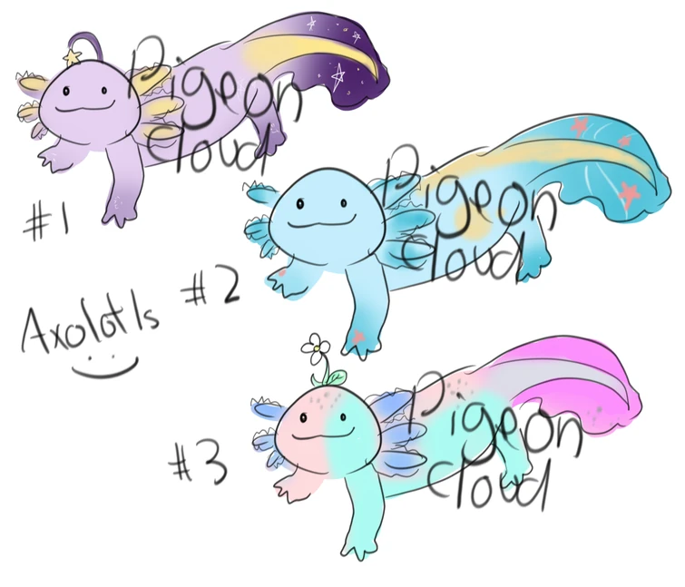 Cute adopts auction! (Axolotls) | Fandom