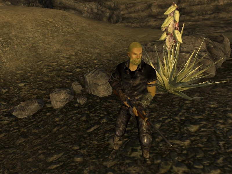 Chiholo Police Force | Fallout Roleplaying Wiki | Fandom