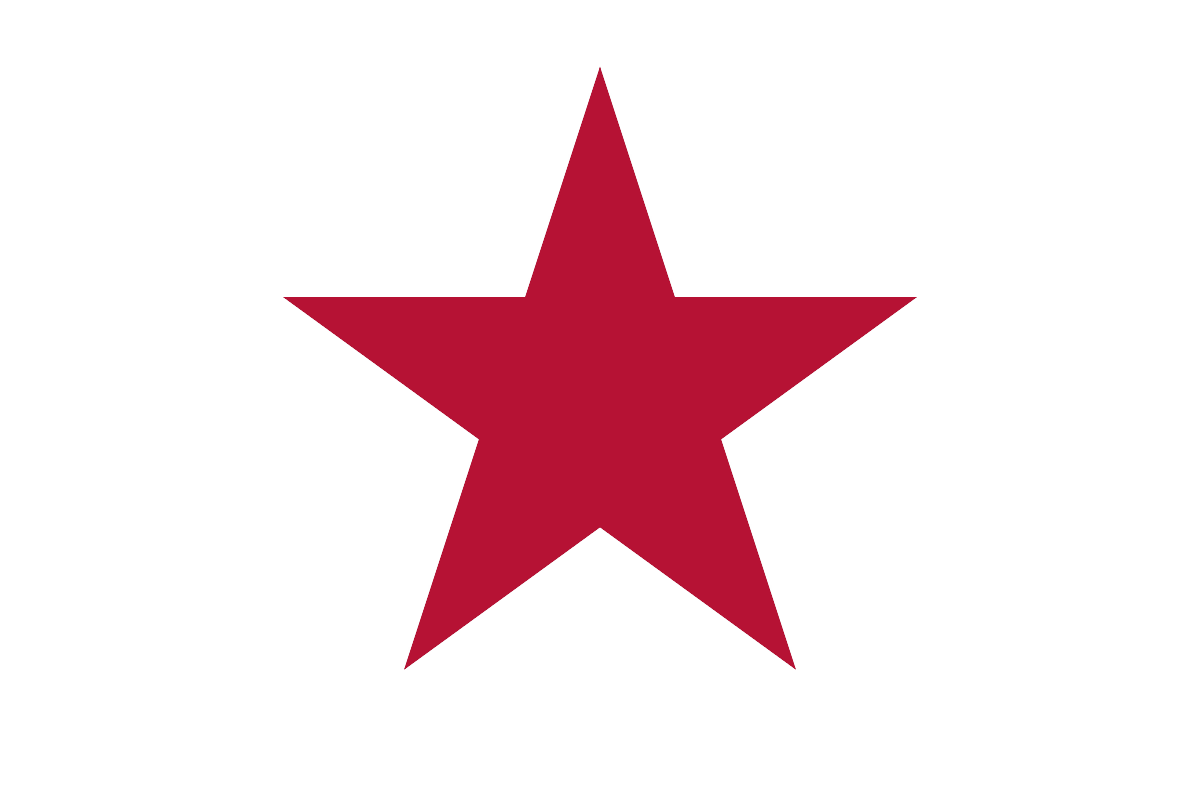 Red Star Rangers | Fallout Roleplaying Wiki | Fandom