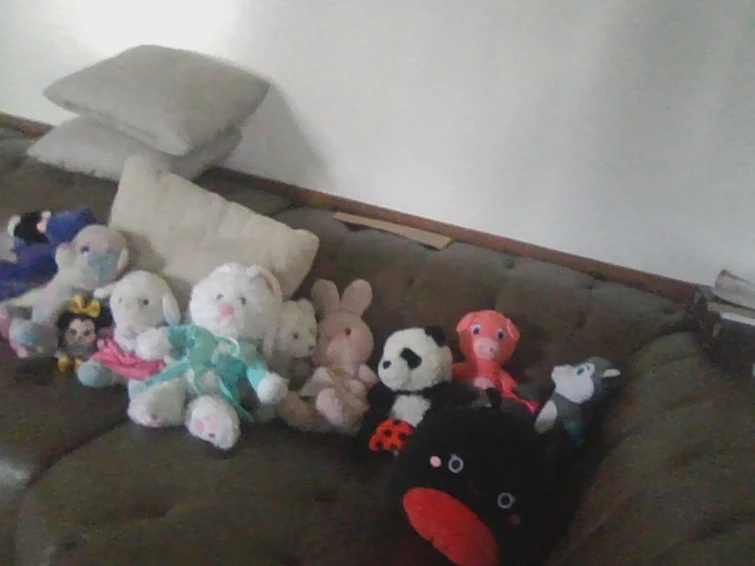 my teddies | Fandom