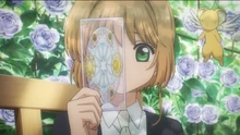 Clear Cards | Cardcaptor Sakura Wiki | Fandom