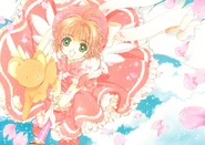 The Fly | Cardcaptor Sakura Wiki | Fandom