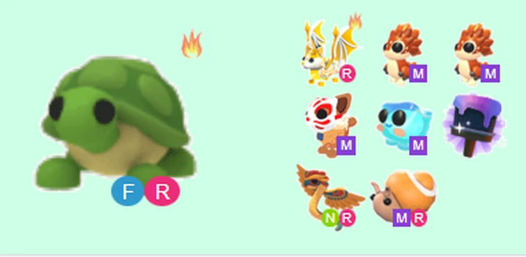 WFL? im turtle | Fandom