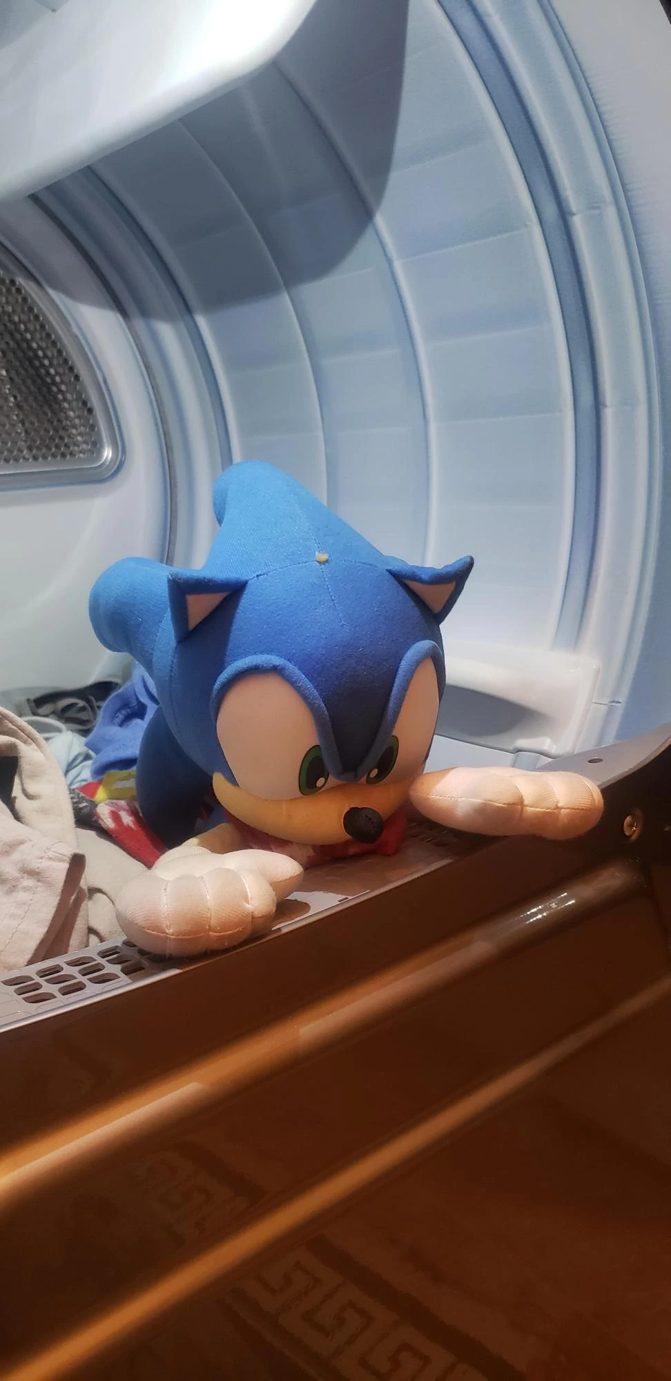 Sonic in the laundry | Fandom