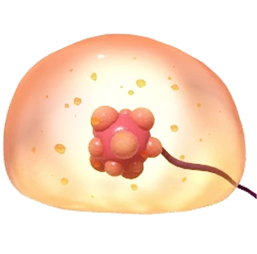 Discuss Everything About Pikmin Wiki | Fandom