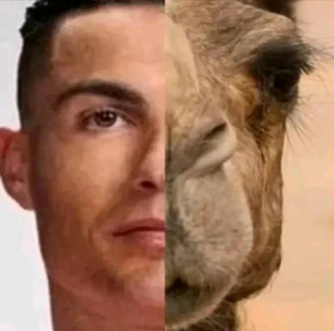 AGHH MASCARA IS STILL ON MY EYES | Fandom