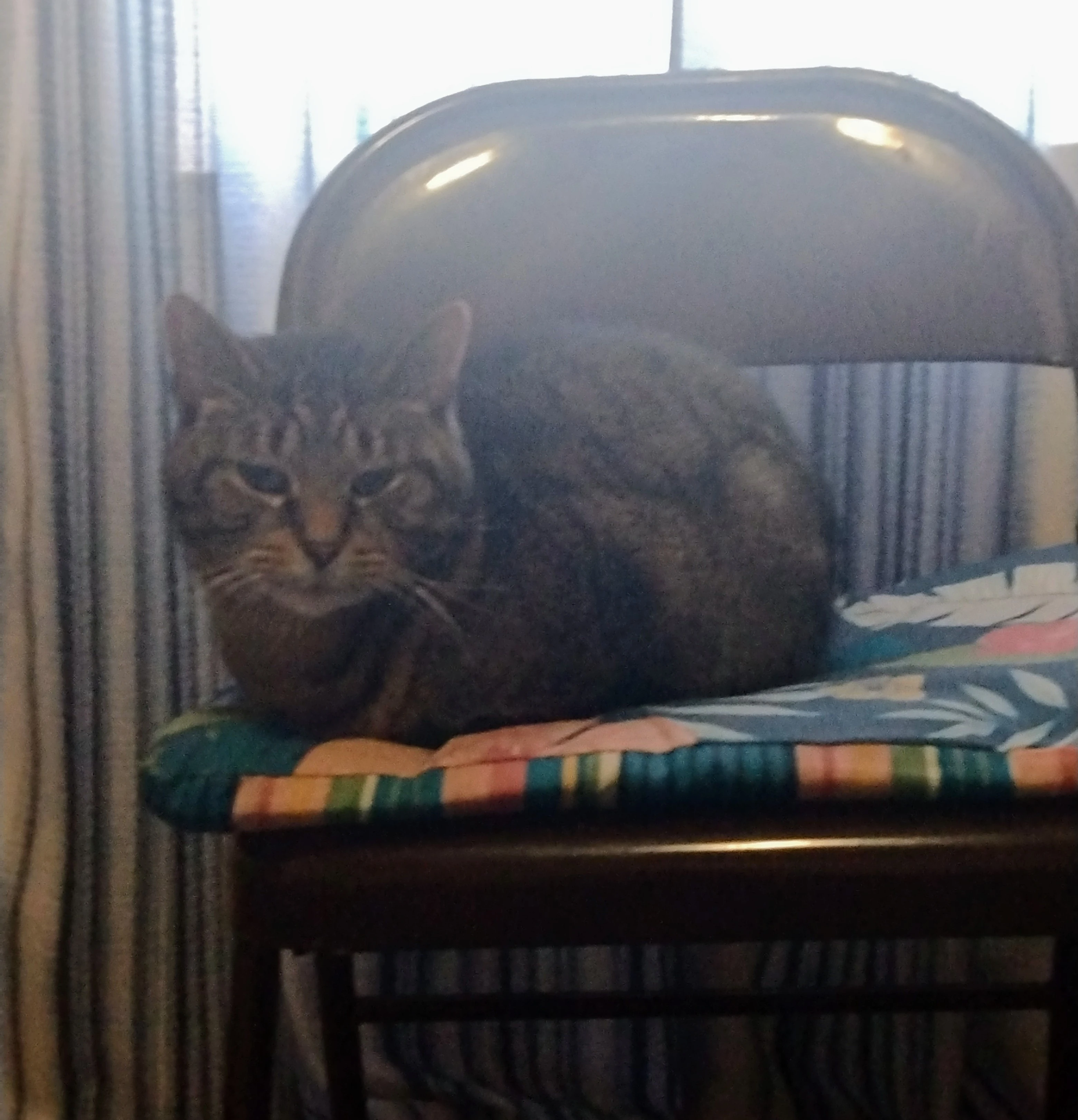 Look at Axel being all cute lounging around. | Fandom