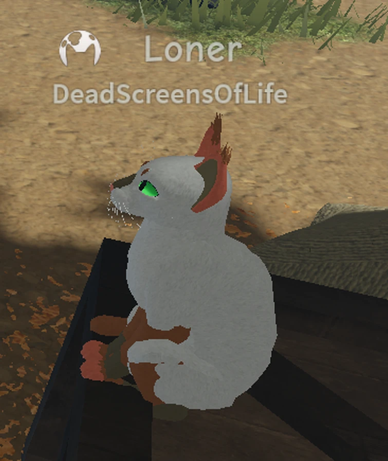 Discuss Everything About WCUE: Debugs and Testers Wiki | Fandom