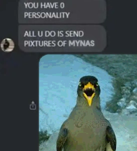 Send me your memes | Fandom