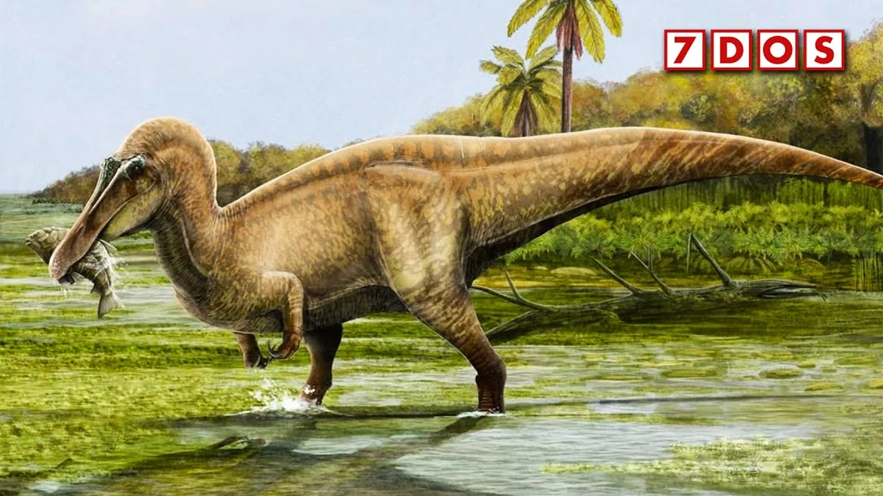 New Spinosaur alert | Fandom