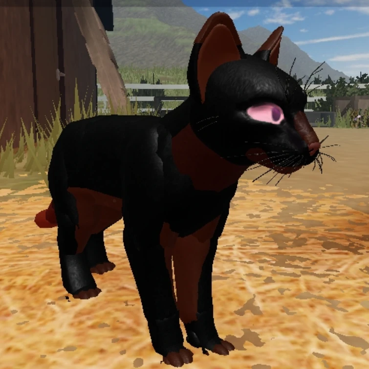 Discuss Everything About The WCUE DEBUG Wiki | Fandom