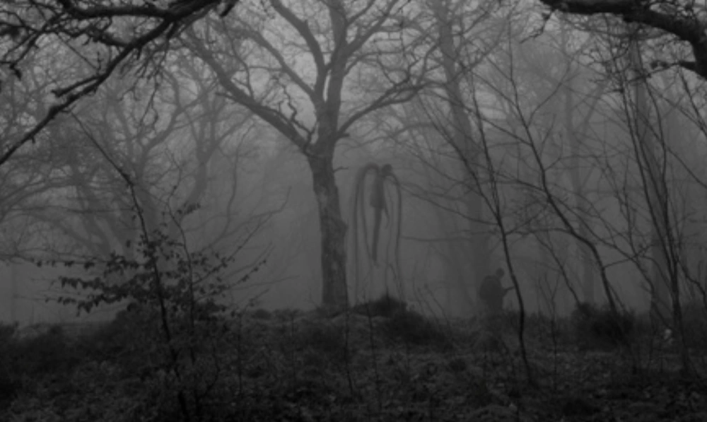 🖤☠️ SO, I’M NOW WATCHING THE SLENDERMAN MOVIE… ☠️🖤 | Fandom